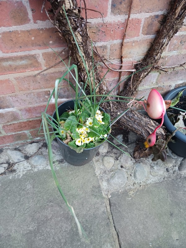 Gallery - Evesham Methodist Church....for everyone.