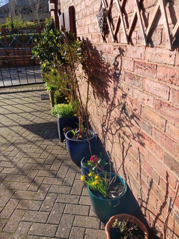 Gallery - Evesham Methodist Church....for everyone.